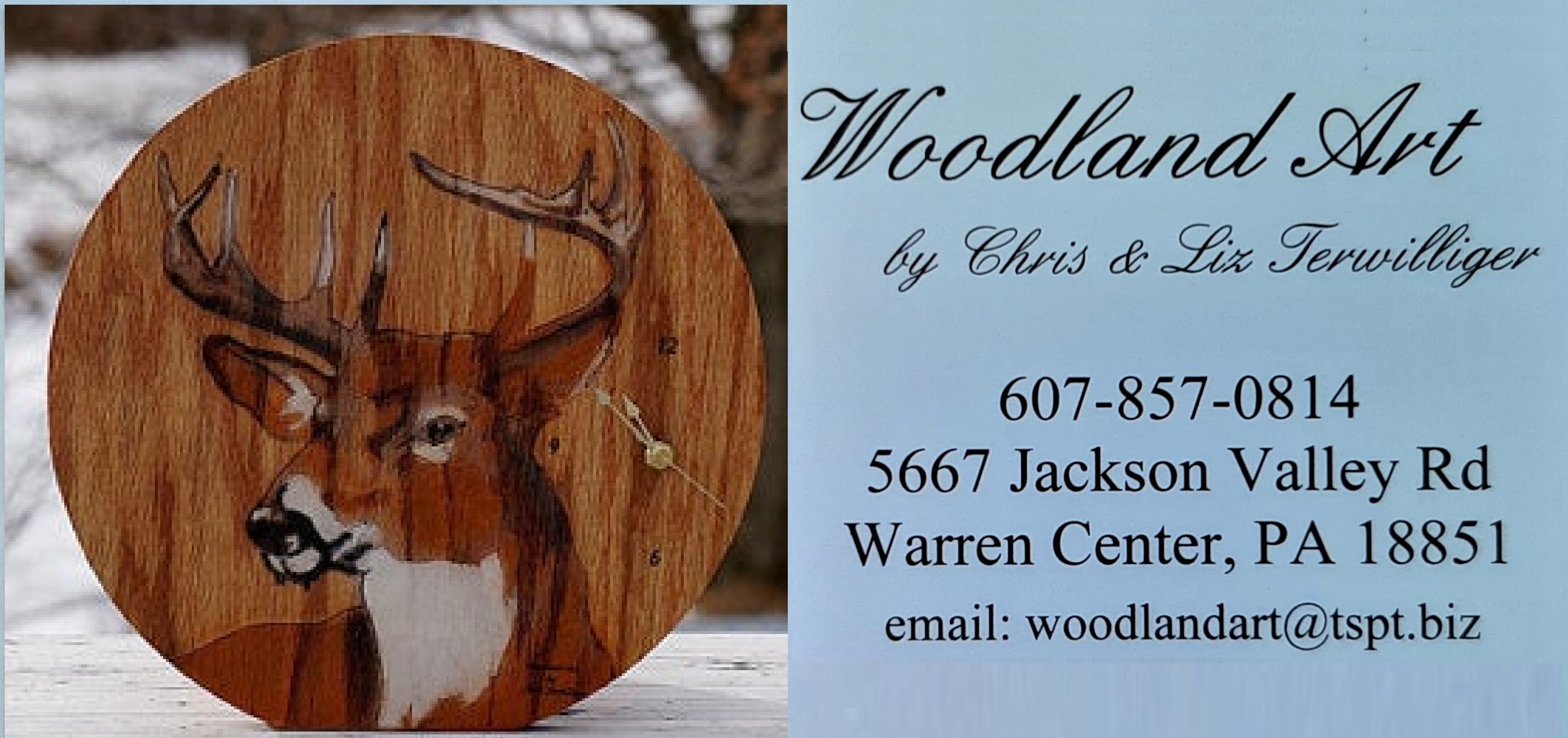 About – Woodland Art by Chris & Liz Terwilliger